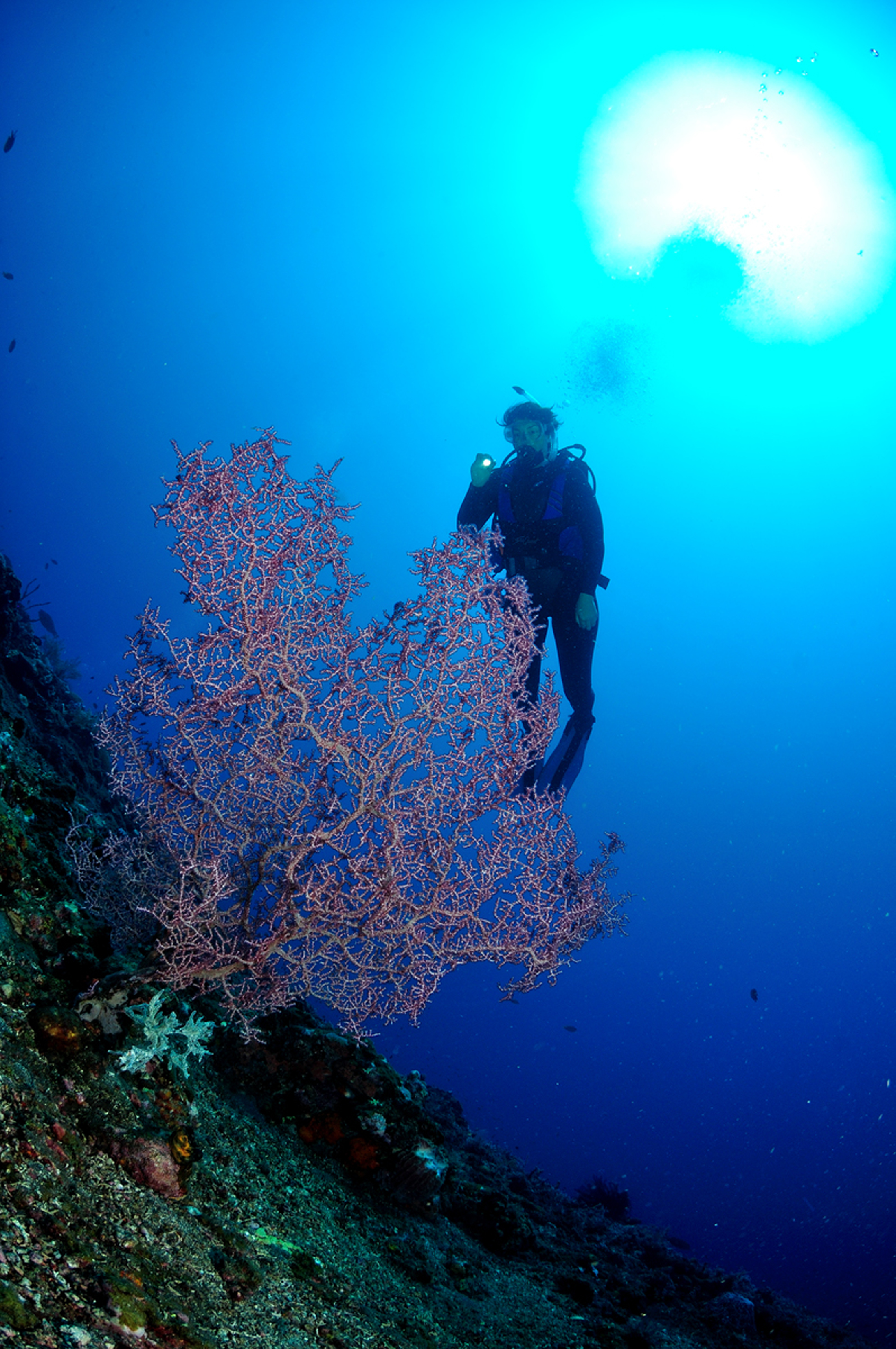 Tulamben Wreck Divers - Gallery